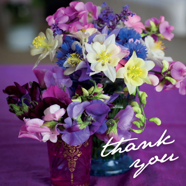 Photonotes Thank You Notecards - Sweet Pea/Aquileg. (pack of 5 ...