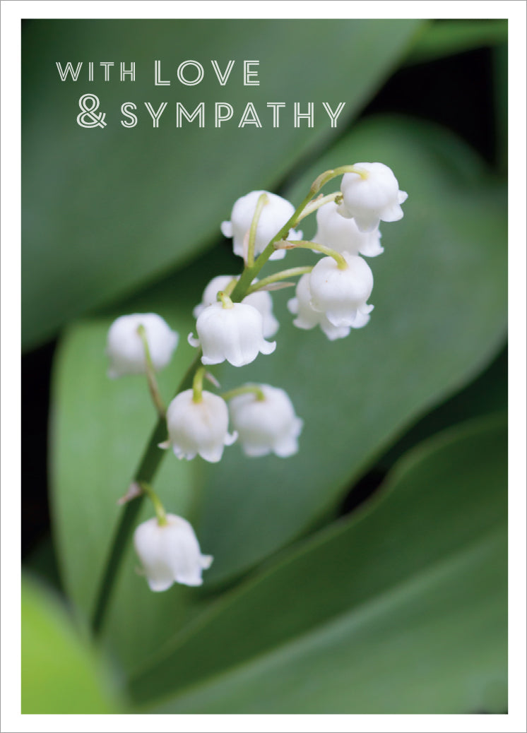 Sympathy Card - Lily Of The Valley – Leonard Smith