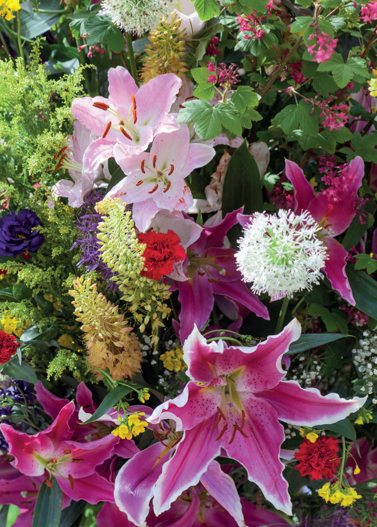 Blank Card - Stargazer Lilies – Leonard Smith